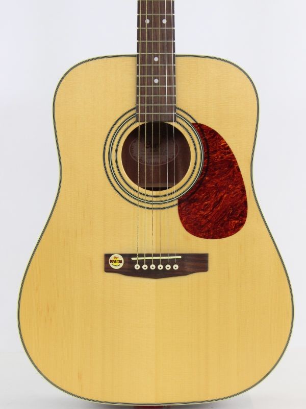 Akoestische gitaar Cort Earth - 70 NS - Kringwinkel