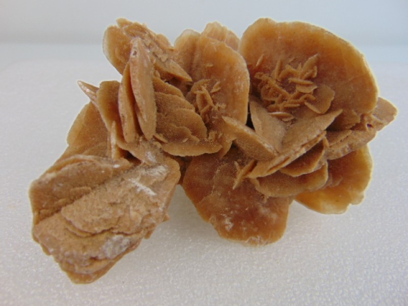 Woestijnroos / Zandroos - Kringwinkel