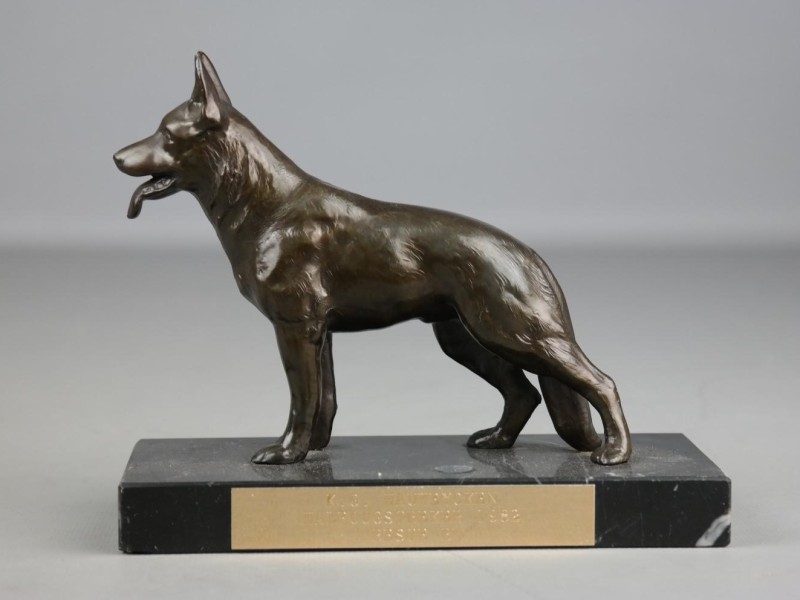 Trofee halfoogst - Kringwinkel