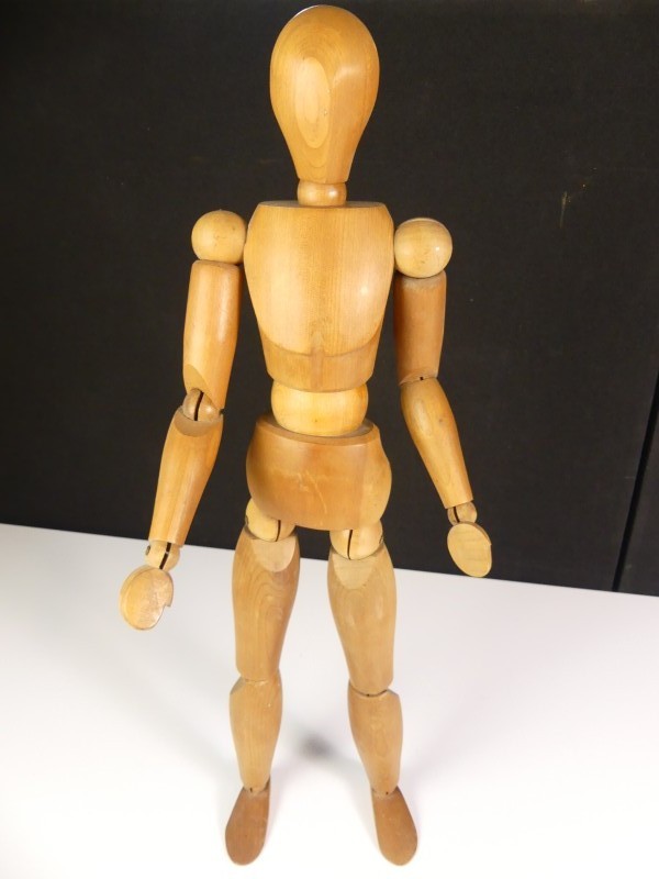 Grote anatomische tekenpop - Kringwinkel