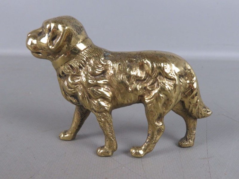 Beeld hond - Kringwinkel