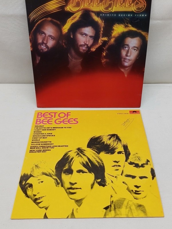 Lp’s Bee Gees - Kringwinkel
