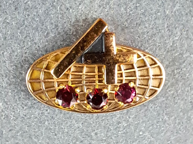 10K gouden prestatiepin met wereldbol en rode stenen - Kringwinkel