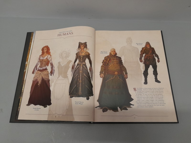 Divinity: Original Sin II – Collector’s Edition box - Kringwinkel