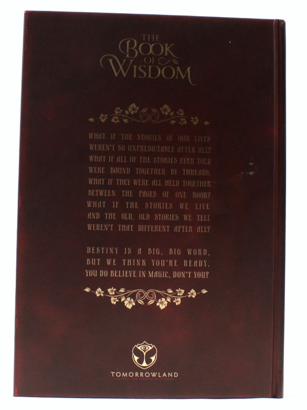 Tomorrowland Ticket Box [2012] - Kringwinkel