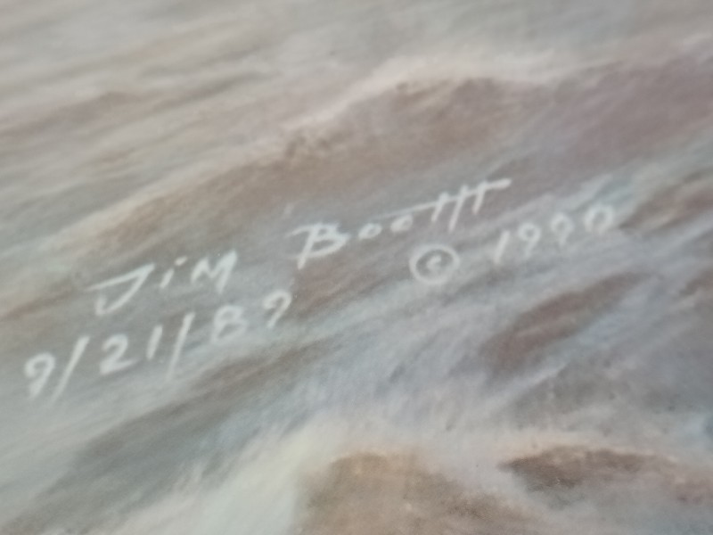 Print ''The Storm'' - Jim Booth - Kringwinkel