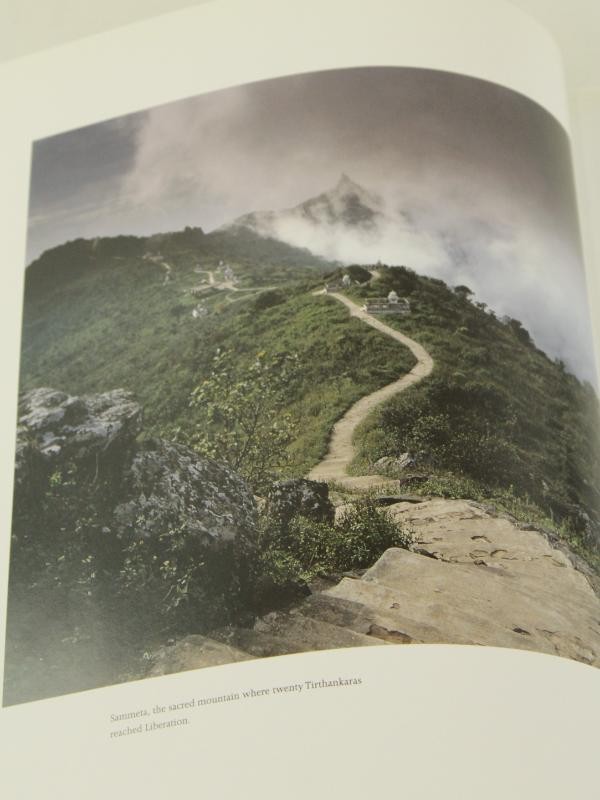 Steps to Liberation - 2500 Years of Jain Art and Religion - Kringwinkel