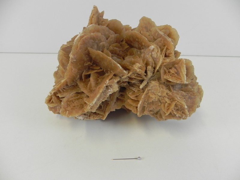 een prachtige woestijnroos van 3200 gram - Kringwinkel