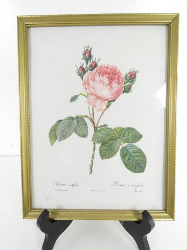 Kader met prent van bloem 2 - Kringwinkel