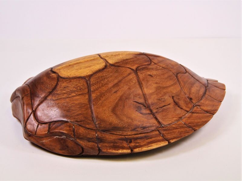Decoratief Schildpad-schild - Kringwinkel